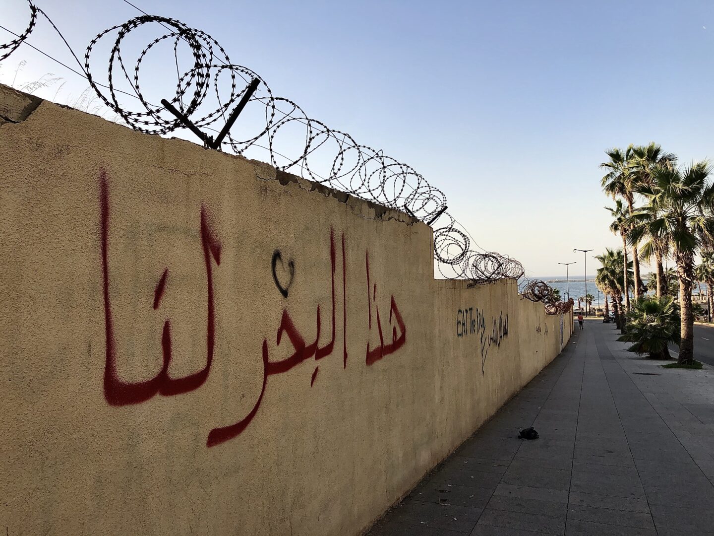 Lebanon’s Environmentalists and the Fight for Nature: Reflecting on ...
