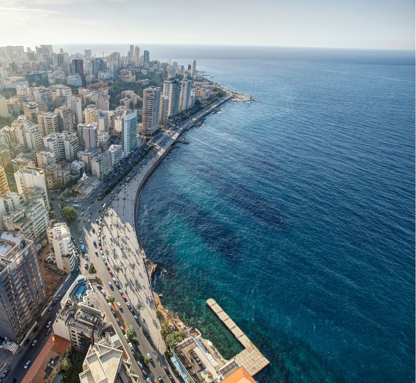 Lebanon’s Marine Awakening: How Science and Community Are Shaping a ...