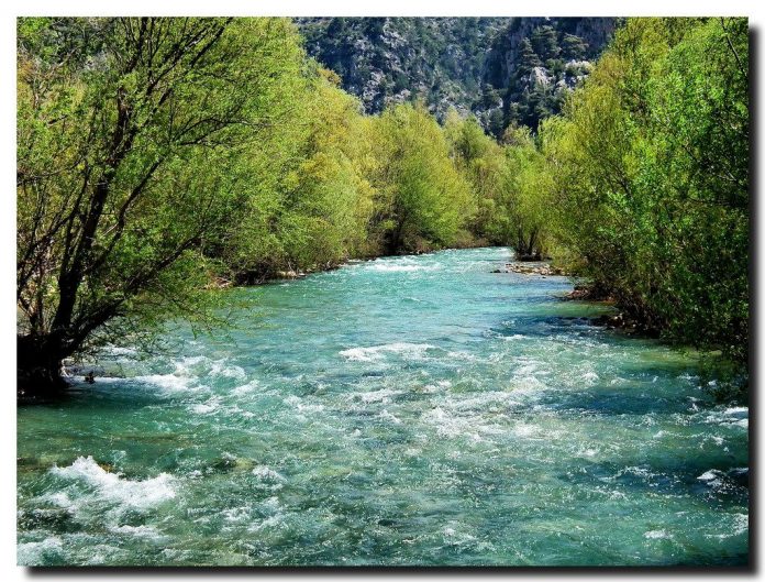 Training on Methodologies for Assessing Estuaries: Case Study Nahr ...